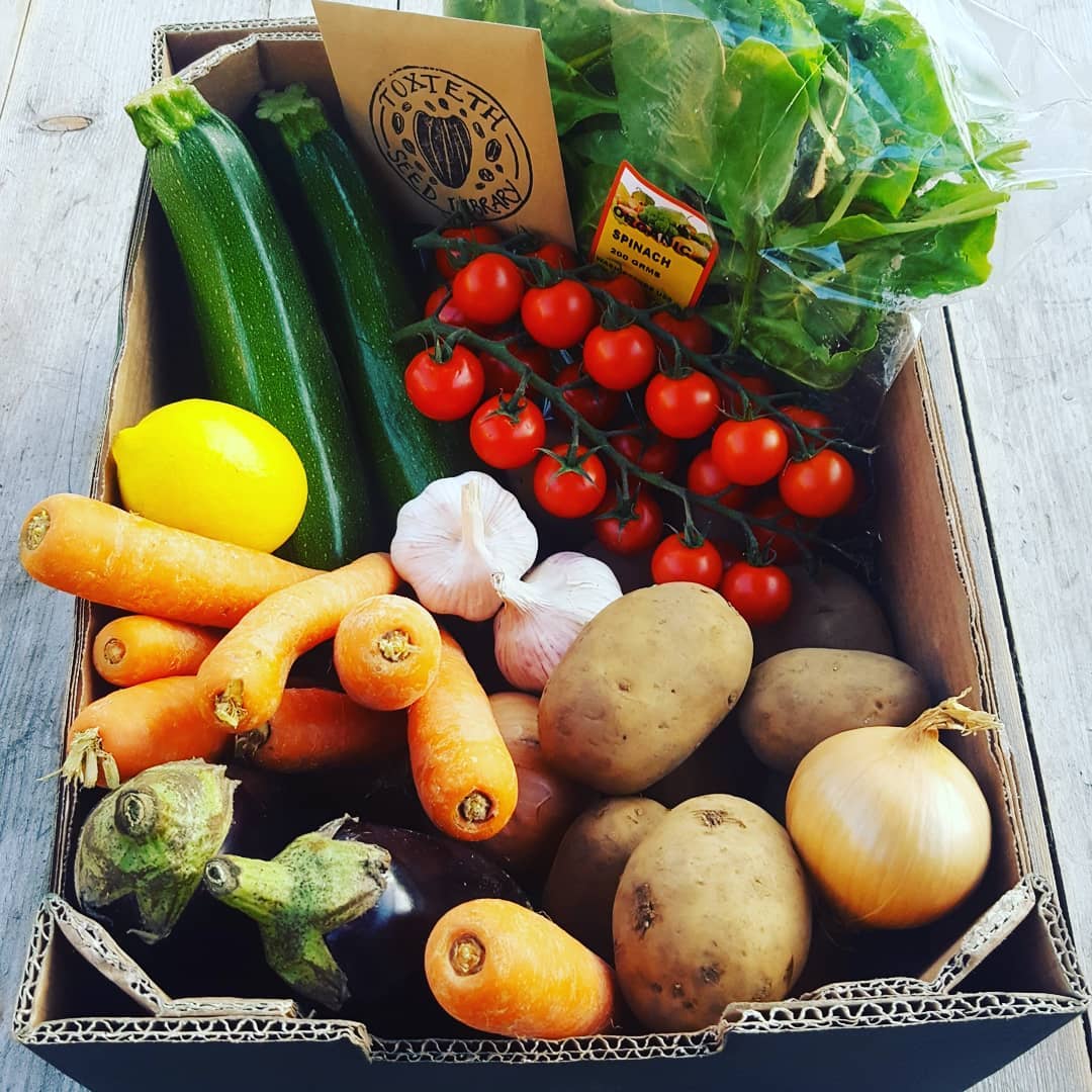 CAFE/SHOP/CATERING - Squash